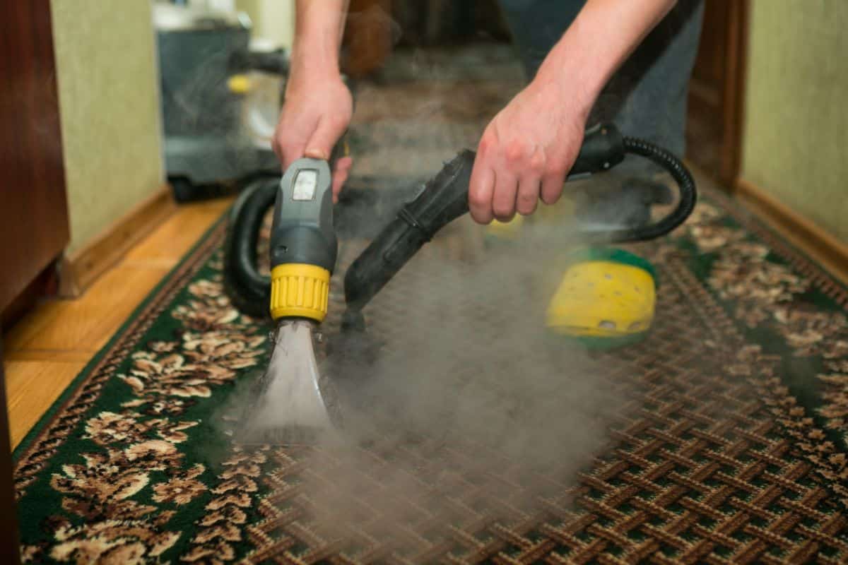 How to Choose the Right Carpet Cleaning Company - Consumer Advisory